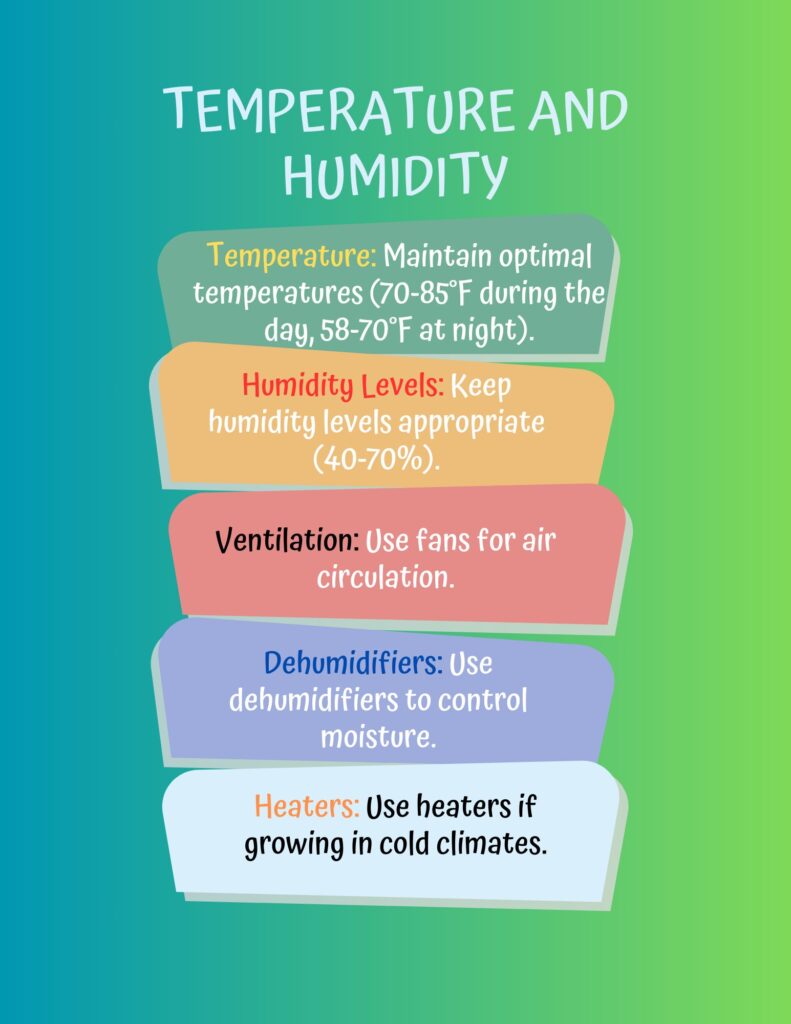 Weed Strain Guide with Word Search - Whiz Puzzles